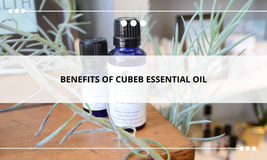 Cubeb Essential Oil Uses and Benefits – BALM Aromatherapy